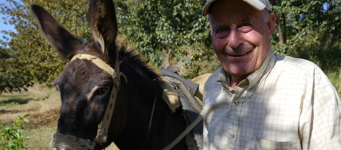 Jan Nimmo - Arts Projects